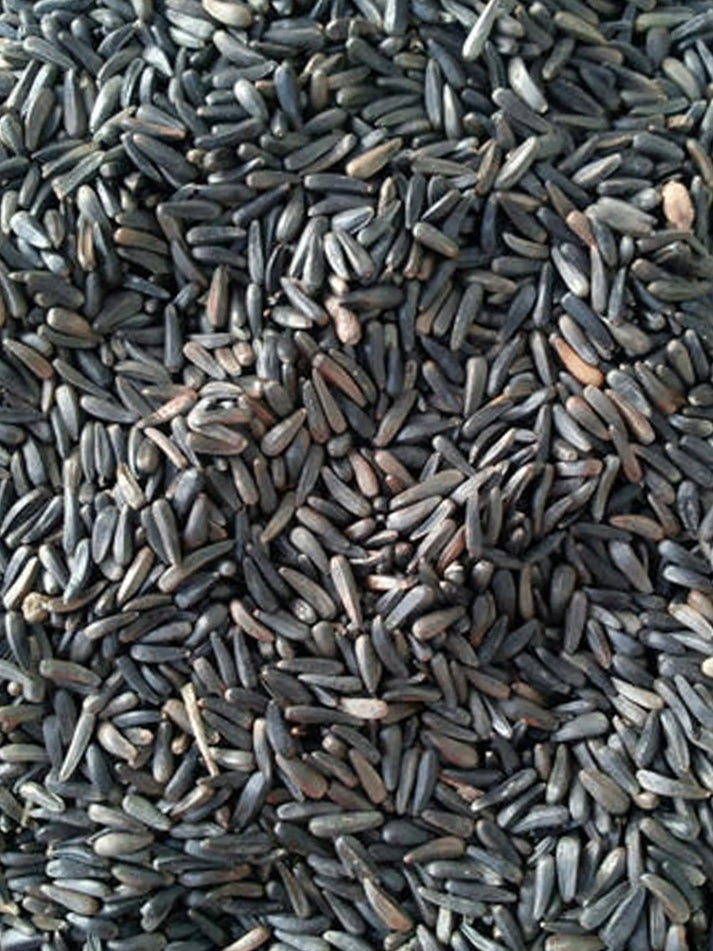 Avigrain Niger Seed - Bonnyrigg Produce & Garden Supplies